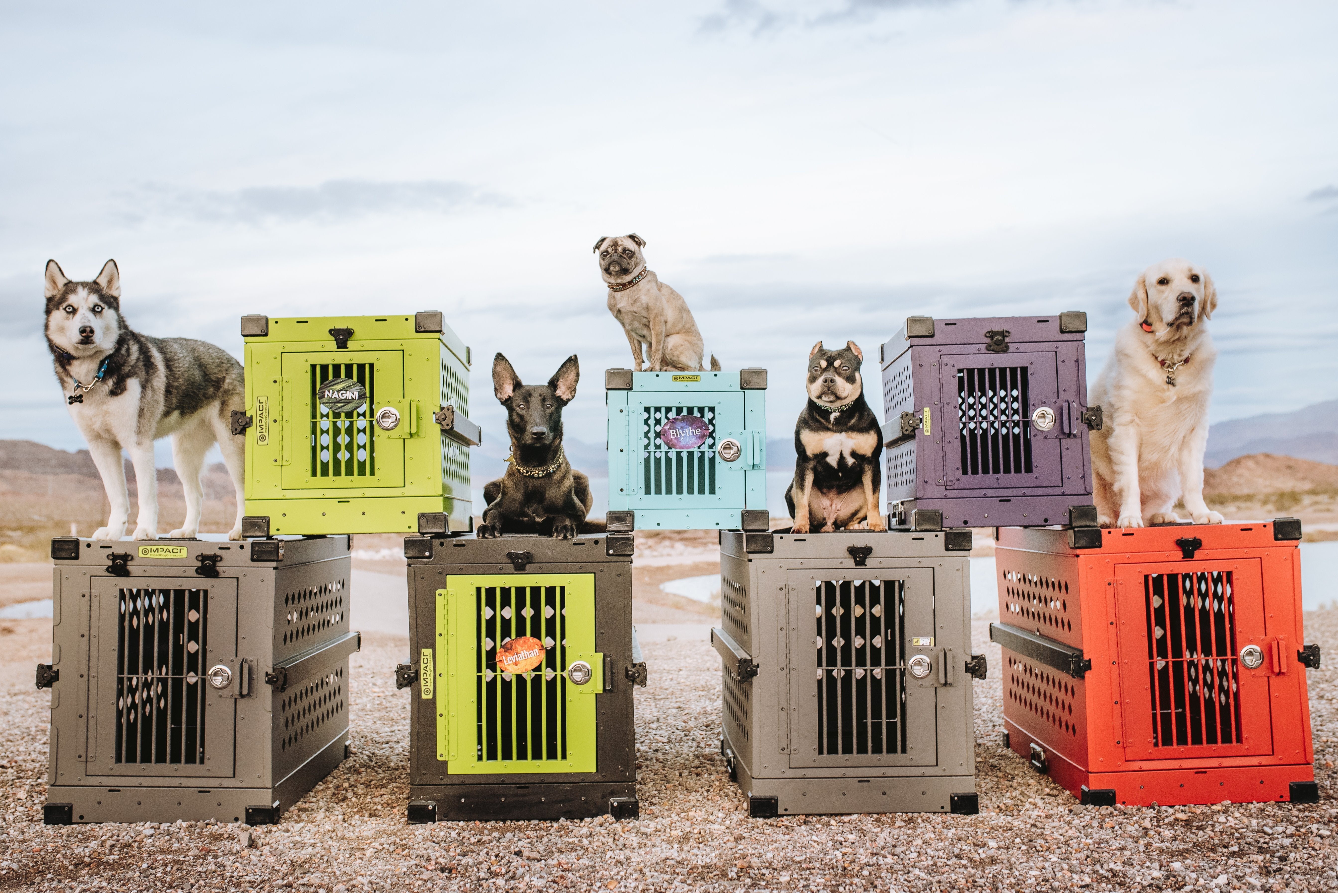 All Impact Products – Impact Dog Crates - CA